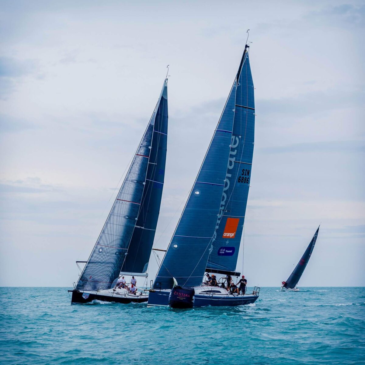 Types de Voiliers : Comment les reconnaître ? - MeSailor